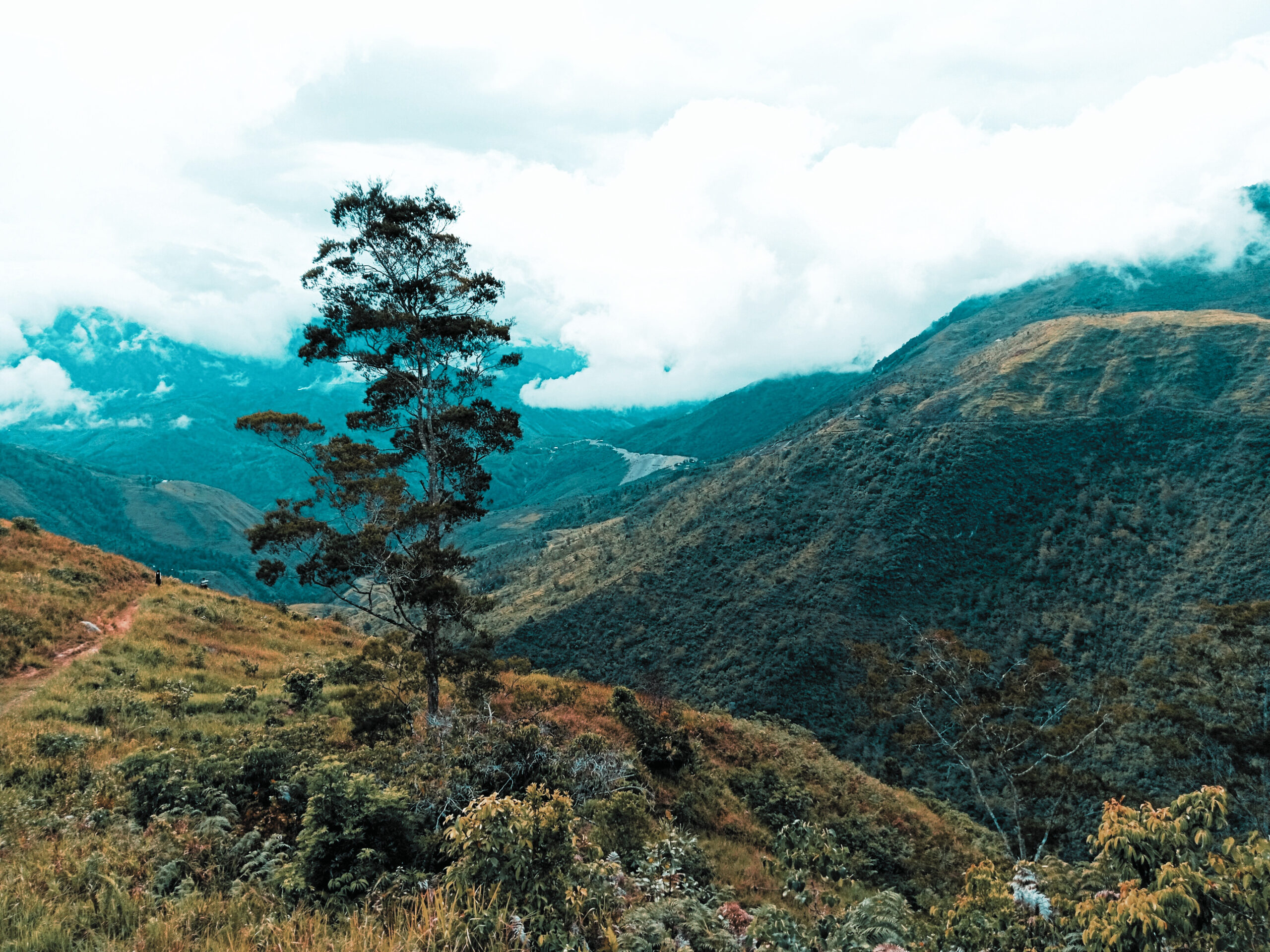 GO VISIT PAPUA | Tours & Travel Operator